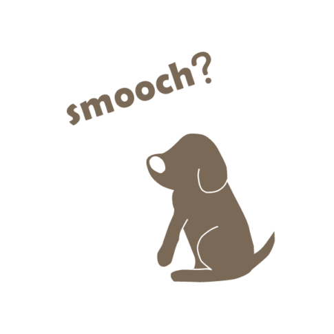 smoochについて | Dog Nurture smooch